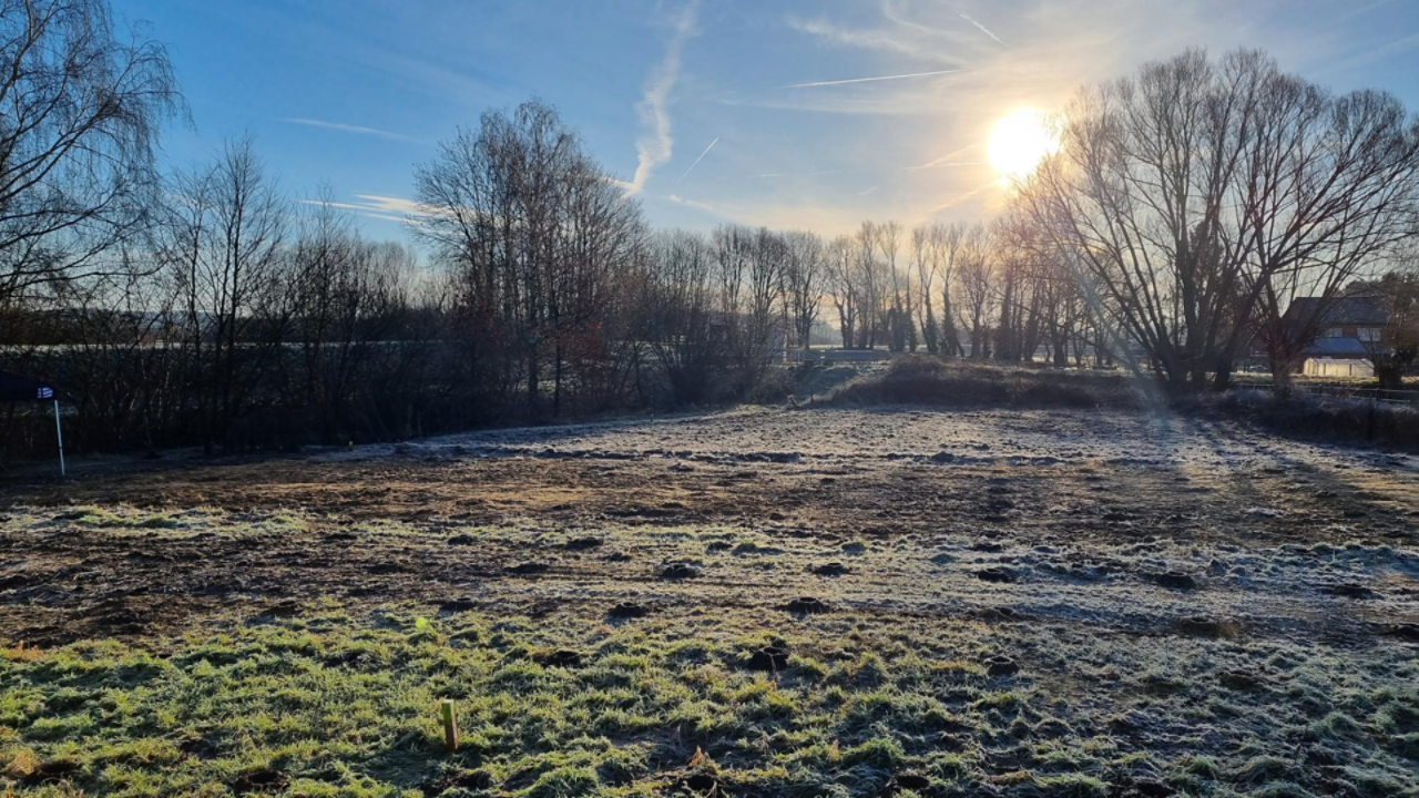 Toyota’s green alliance to grow a new forest in community